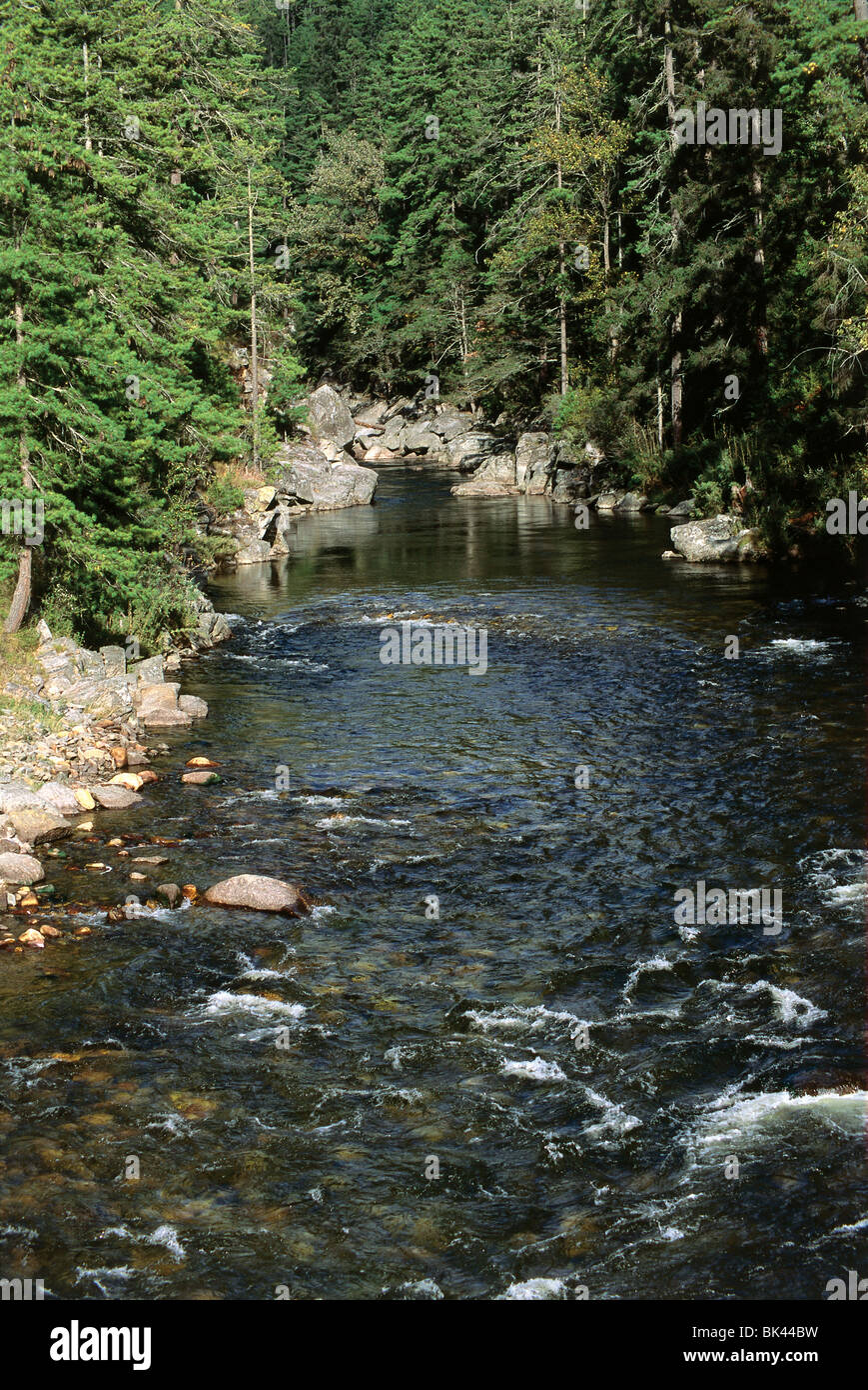 River in the Kingdom of Bhutan Stock Photo - Alamy
