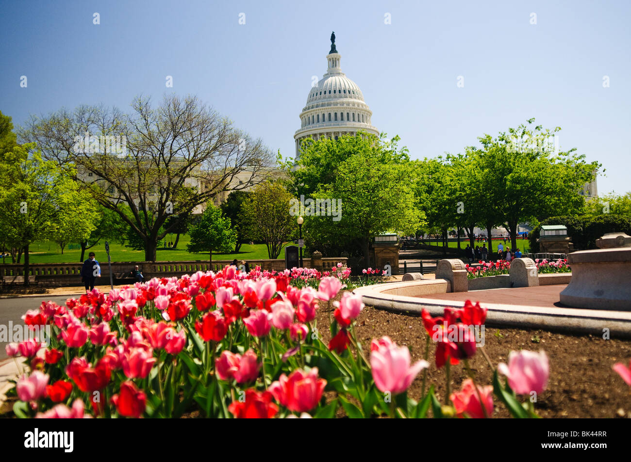 Capitol building washington dc spring hi-res stock photography and ...