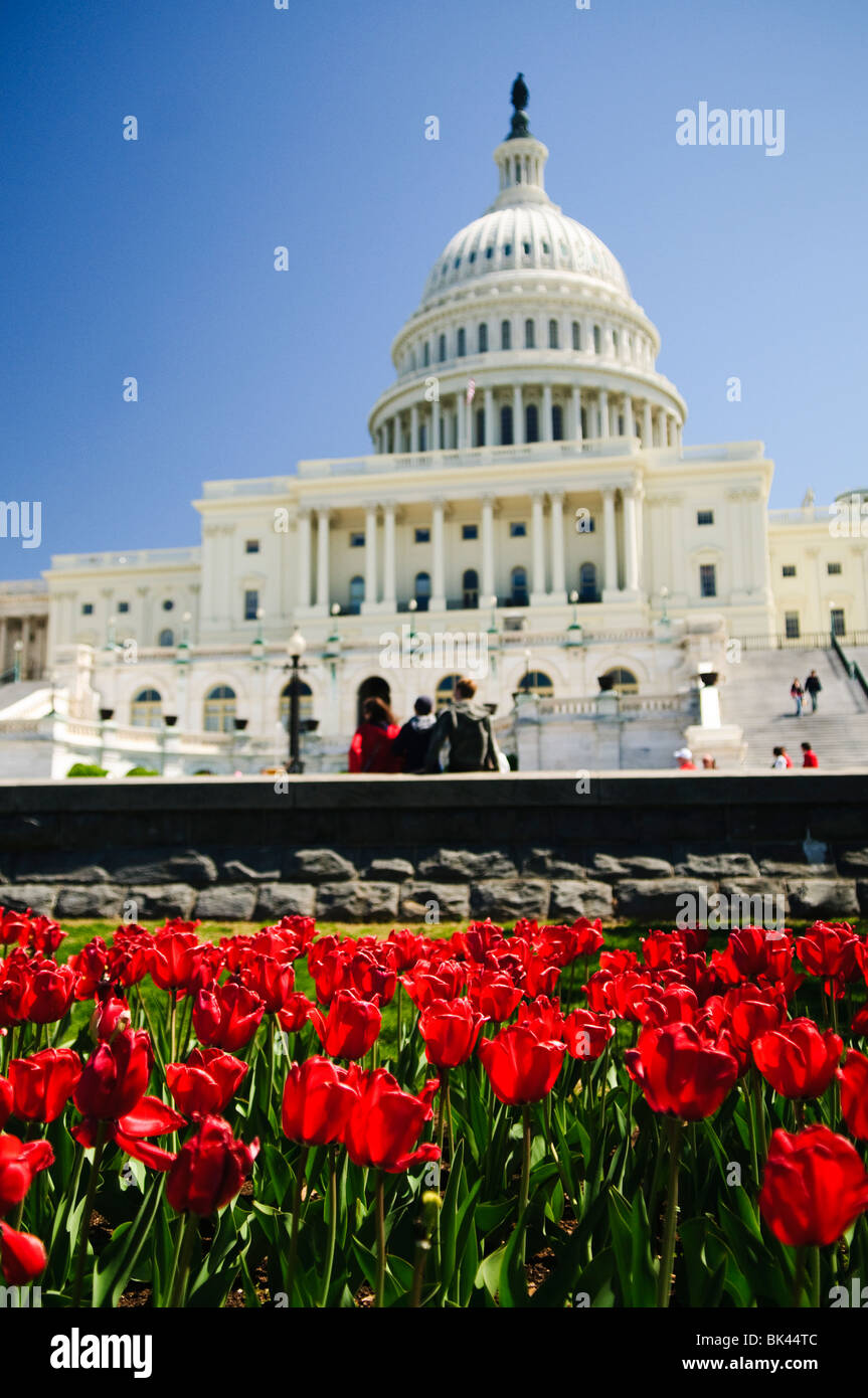 Washington Dc Tulips High Resolution Stock Photography and Images - Alamy