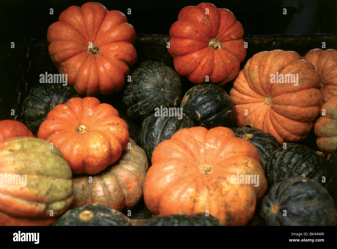 Pumpkins and squash at a market in Brazil, South America Stock Photo ...