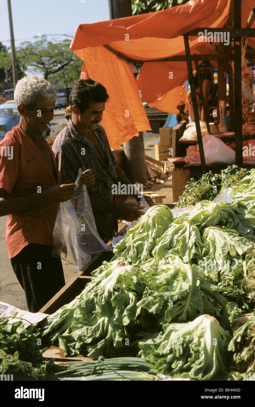 Vegetable Market in Brazil, South America Stock Photo - Alamy