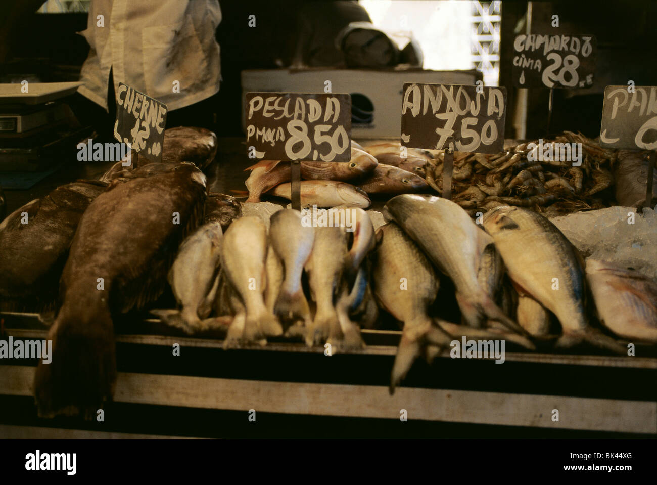 Fish market with a display of Cherne (Sea Bass), Pescada, and Shrimp ...