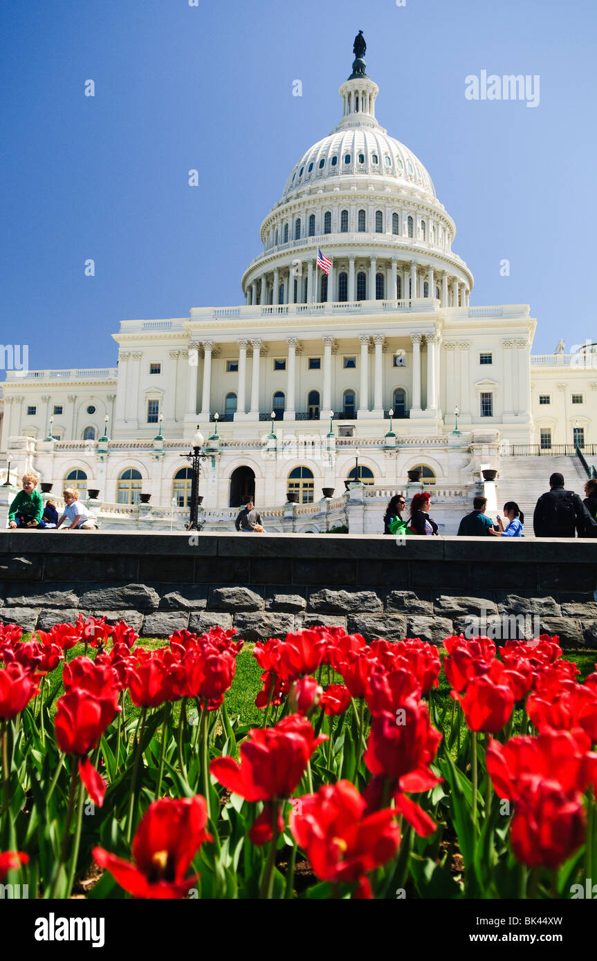 The perennial building hi-res stock photography and images - Alamy