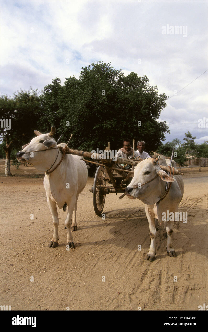 Riding ox cart hi-res stock photography and images - Alamy