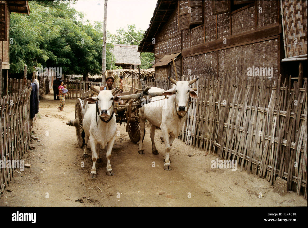 Ox-cart, Mandalay Division, Myanmar Stock Photo - Alamy