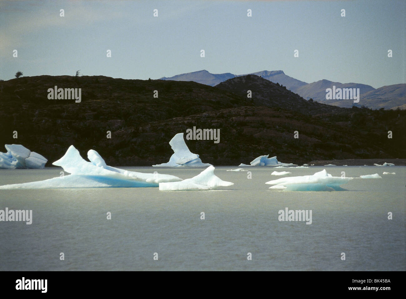 Glacier ice in the water of Grey Lake (Lago Grey) Torres del Paine ...
