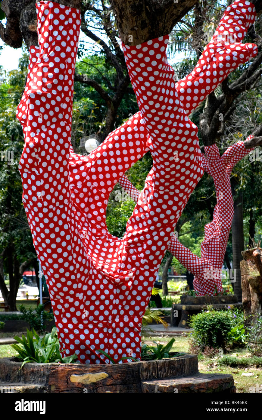 wrapped trees in park, makassar, sulawesi, indonesia Stock Photo - Alamy