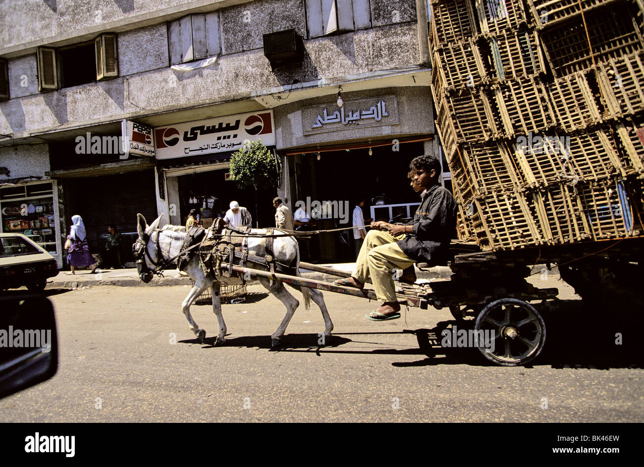 Overloaded Mule With Cart