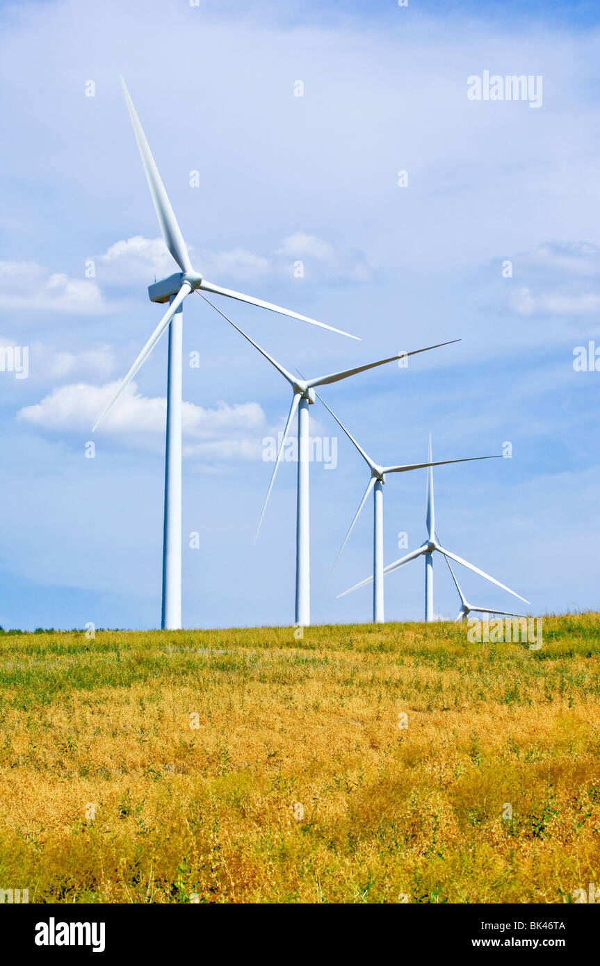 Windmills providing renewable energy on agricultural land in Southeast ...
