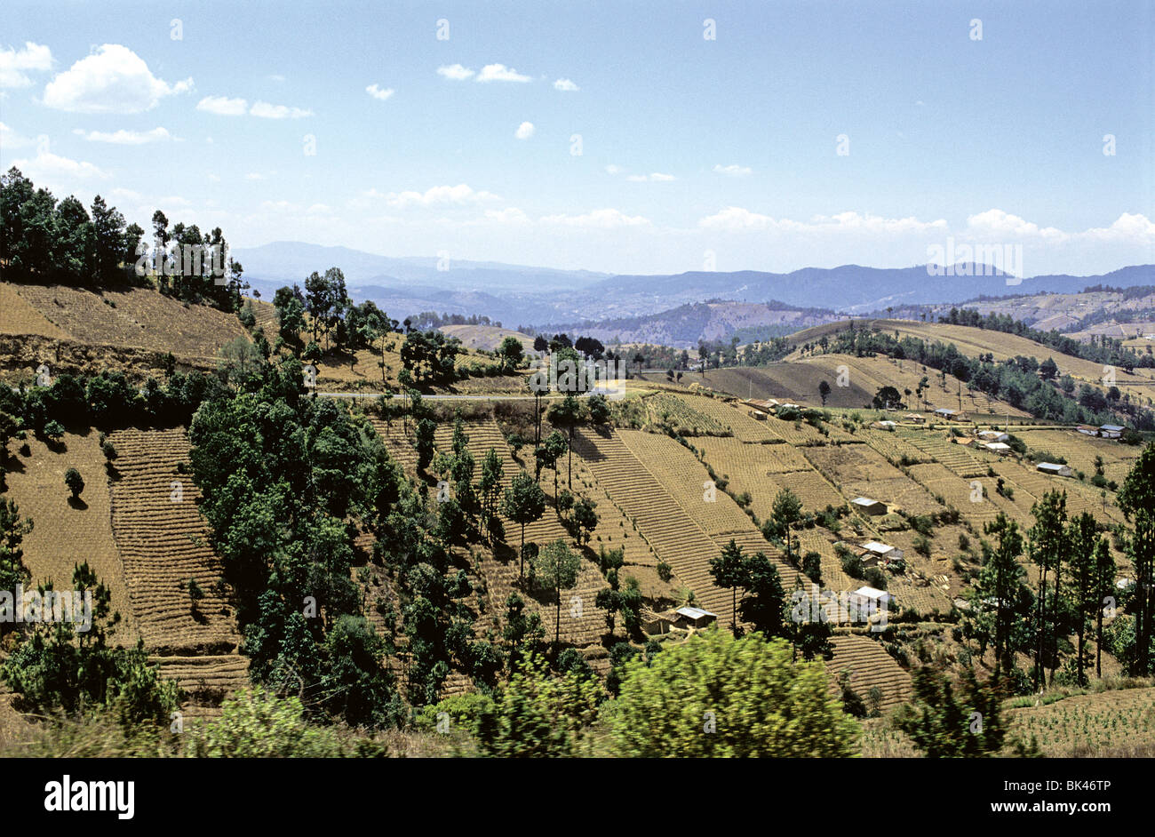 Hillside farming in guatemala hi-res stock photography and images - Alamy