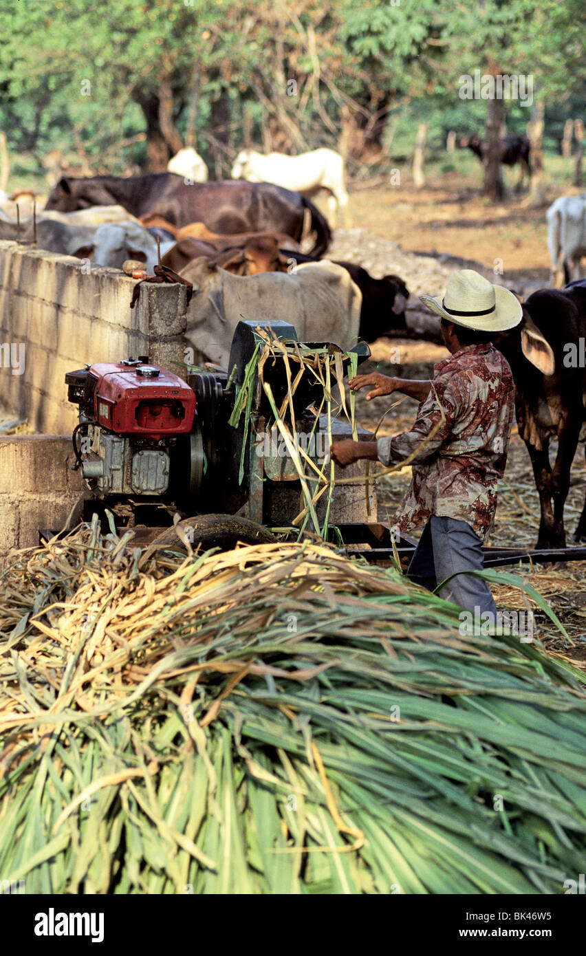 North american cattle ranches hi-res stock photography and images - Alamy