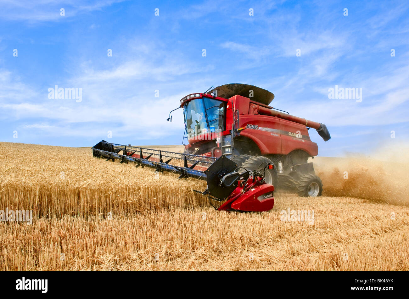 Case leveling combine harvesting wheat on a hillside in the Palouse ...