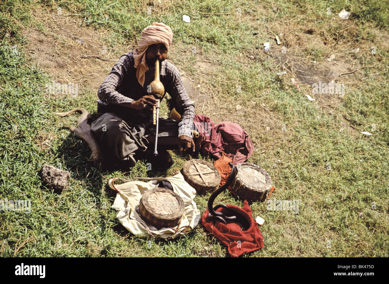 Snake charmer with flute and snakes, India Stock Photo - Alamy