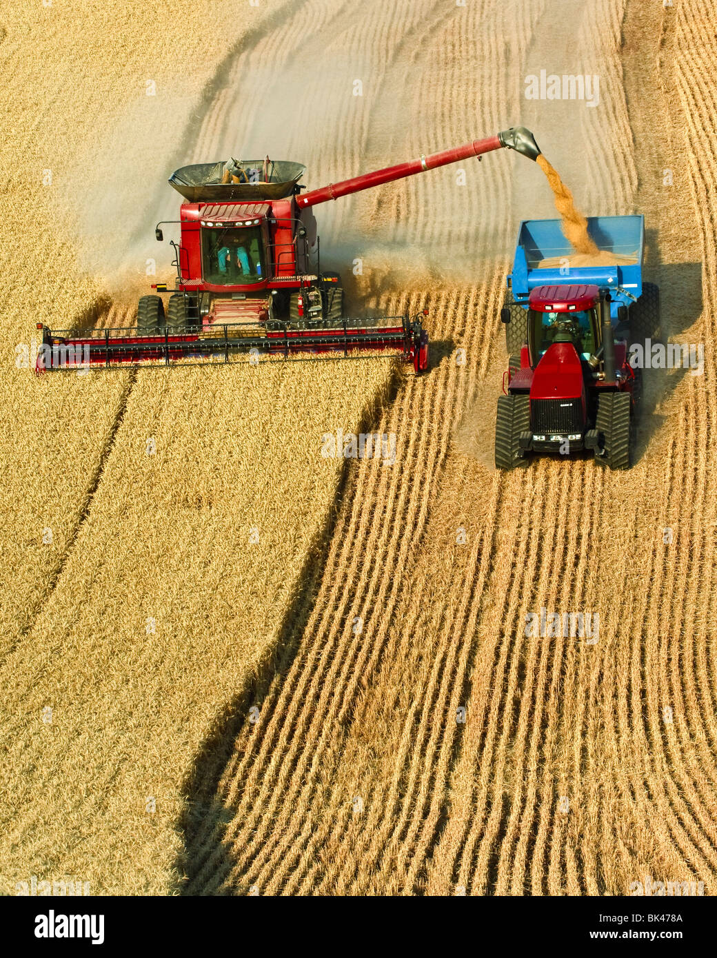 A Case combine harvests wheat and unloads on the go to a grain cart in ...
