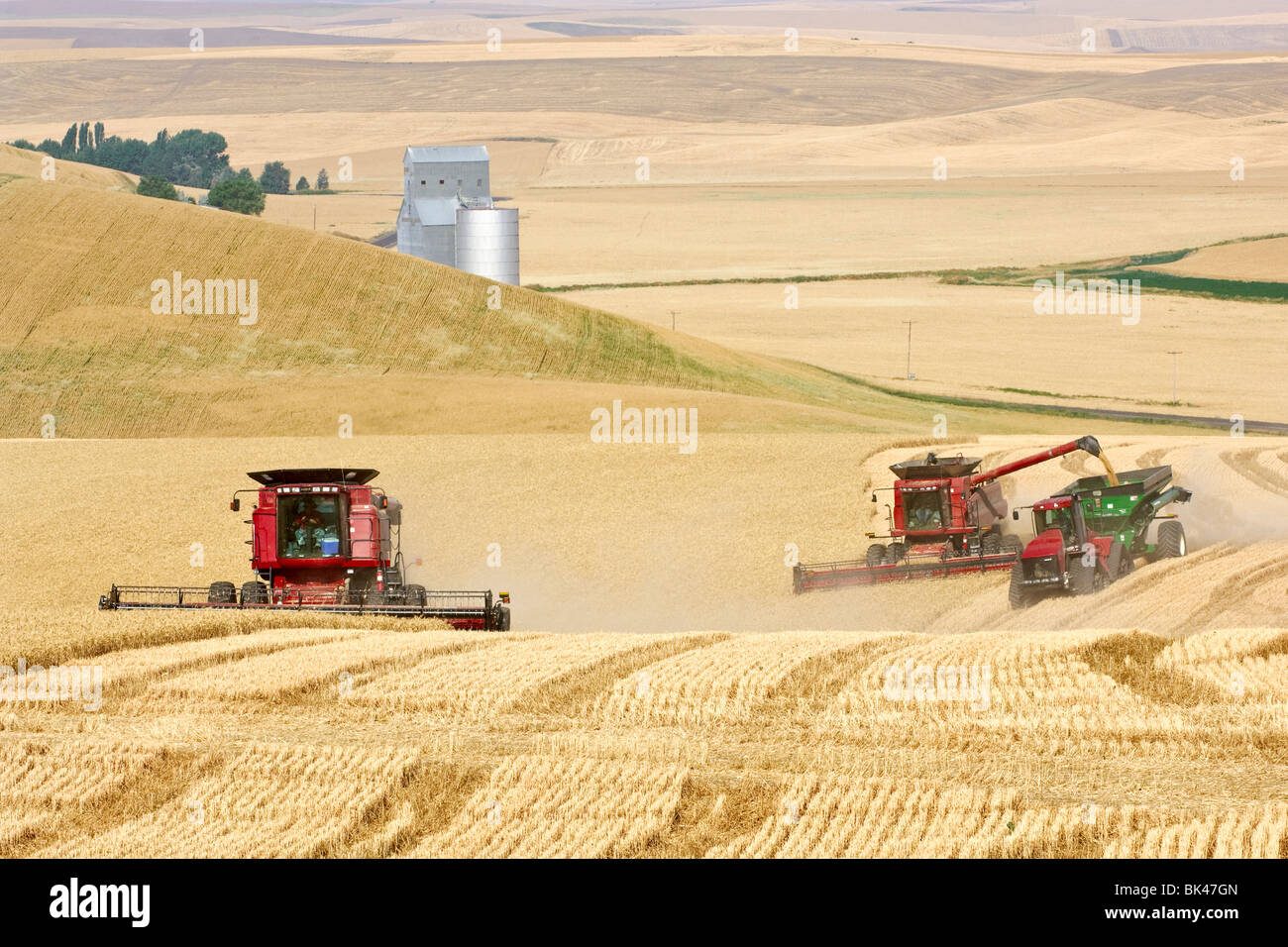 A Case combine harvests wheat and unloads on the go to a grain cart in ...