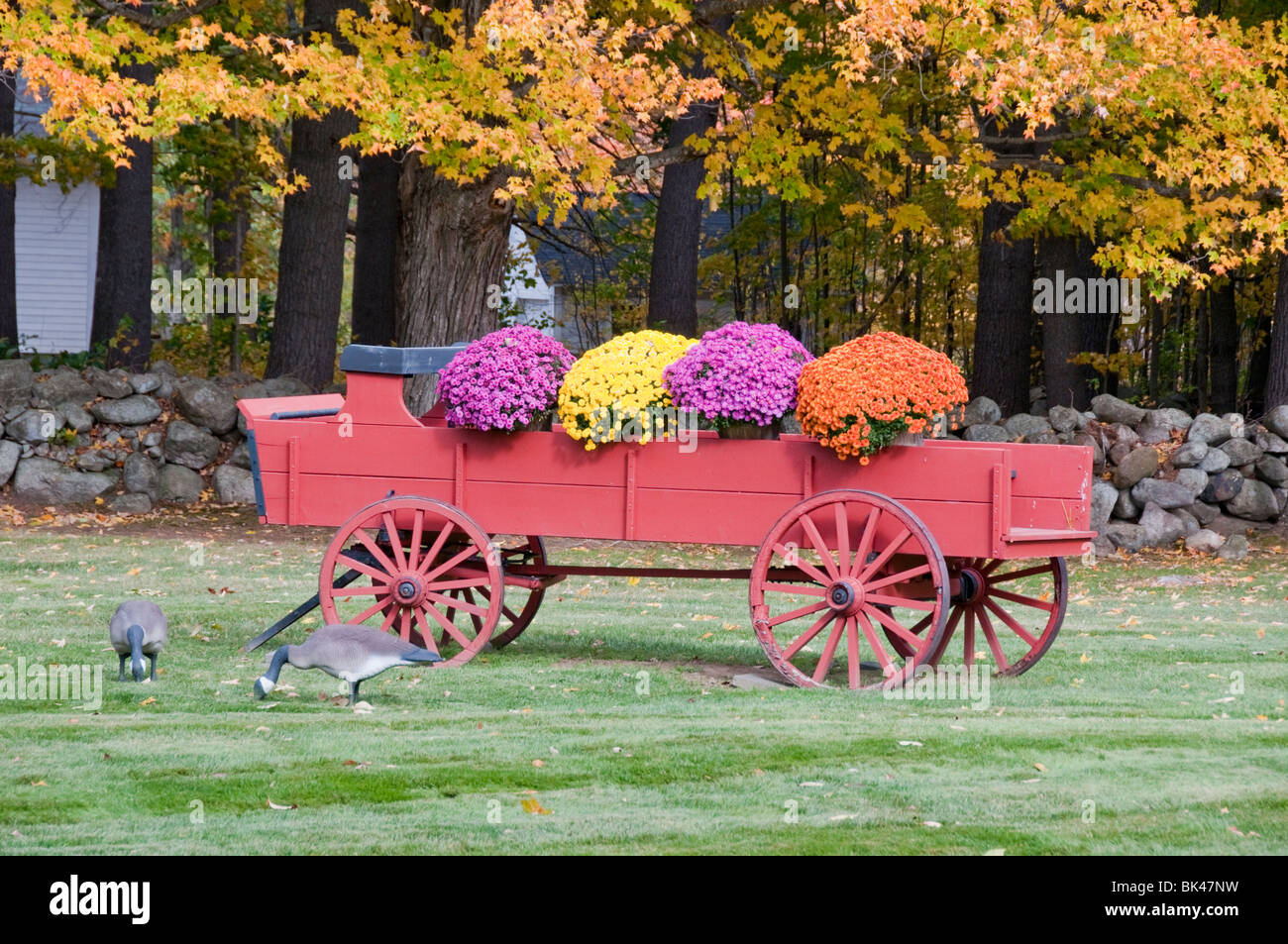 Wagon mums hi-res stock photography and images - Alamy