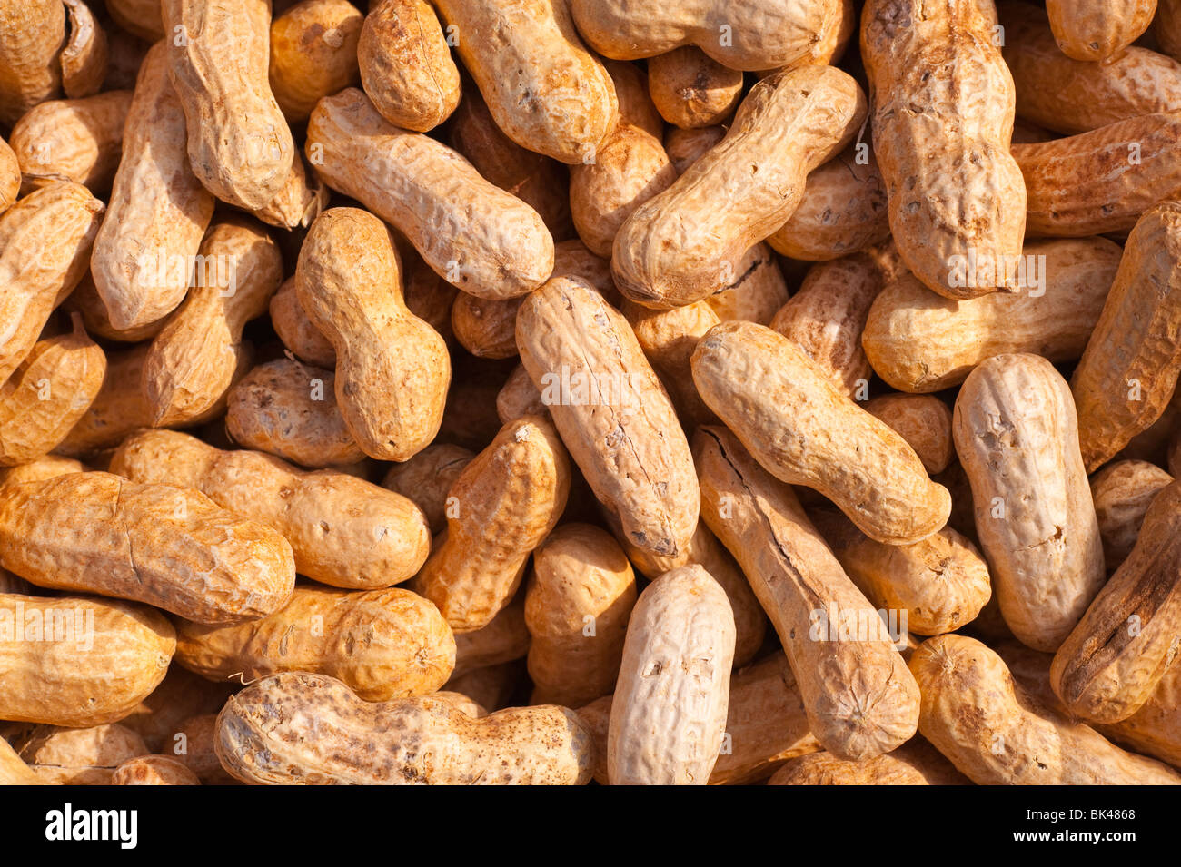 A close up of some monkey nuts ( red peanuts ) in their shells Stock ...
