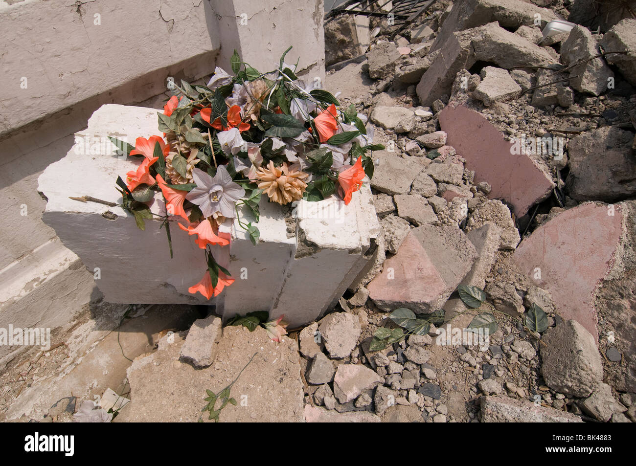 Destroyed building flower hi-res stock photography and images - Alamy