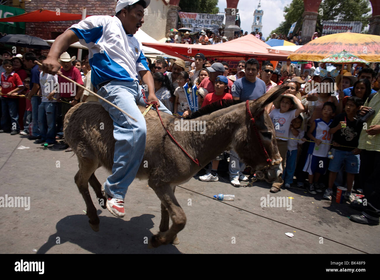 Donkey race hi-res stock photography and images - Alamy
