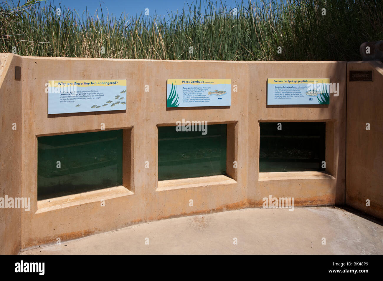 Underwater viewing windows at reconstructed desert wetlands for ...