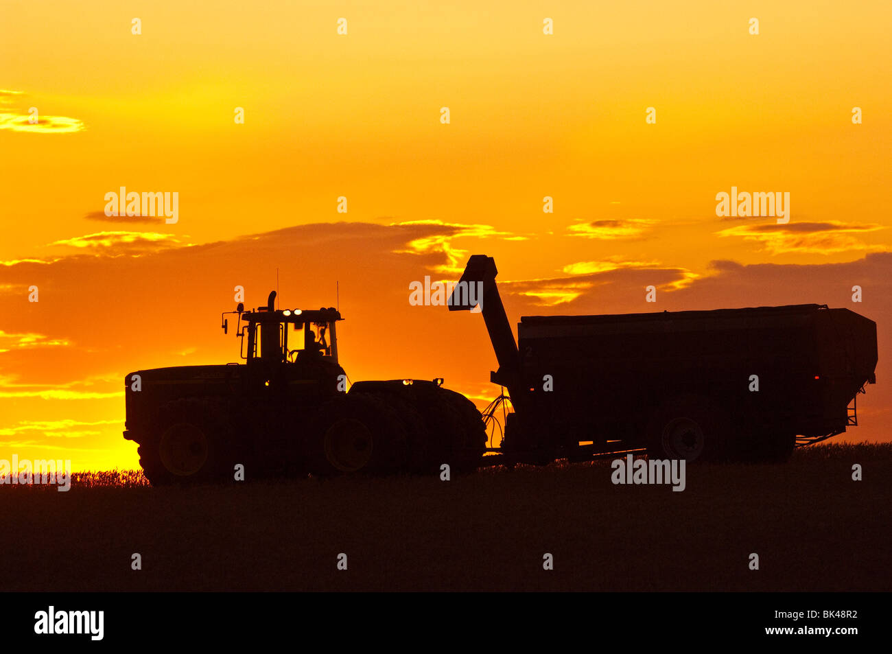 A tractor pulling a grain cart travels along a ridge at sunset in the ...