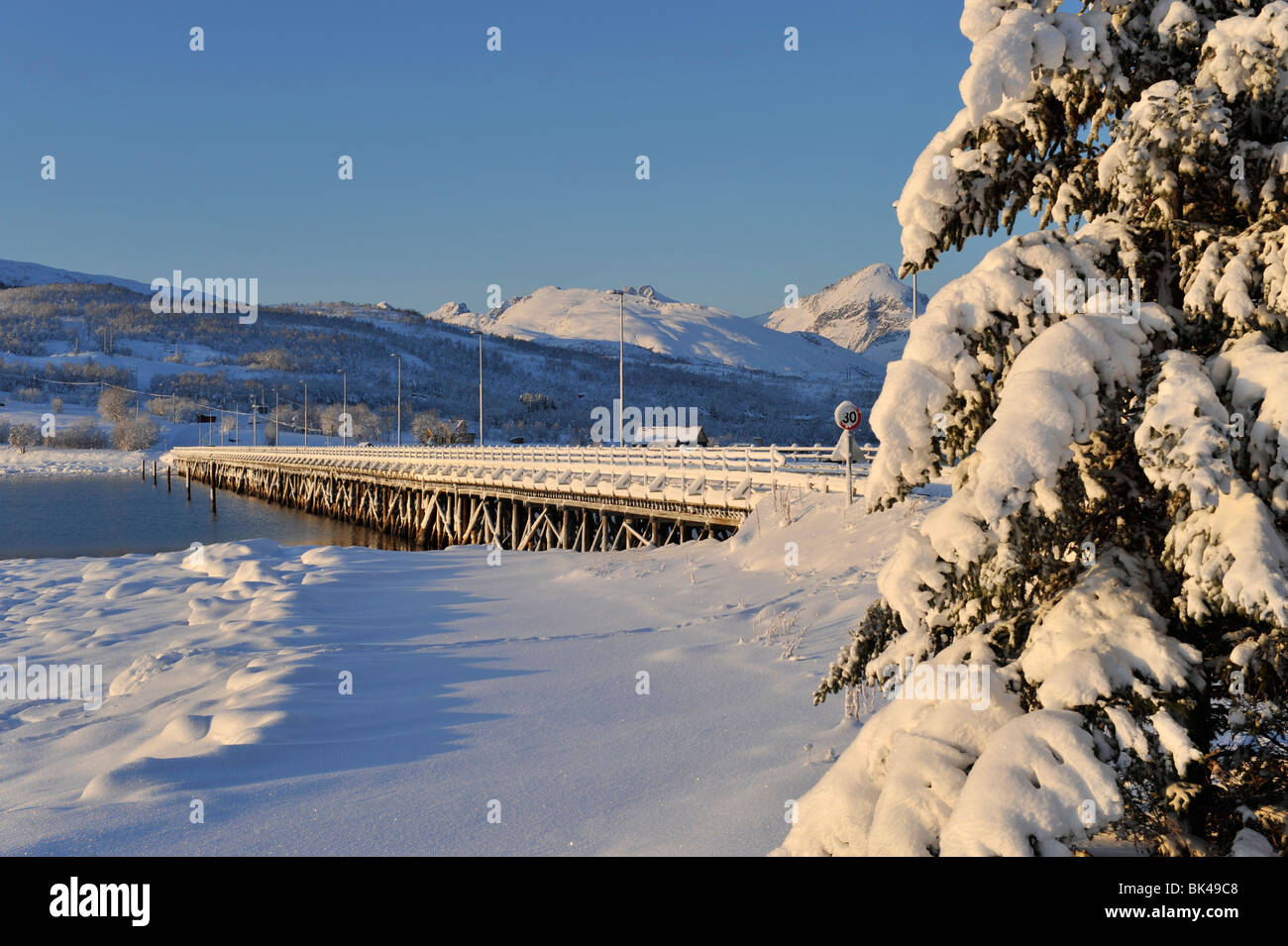Winter landscape with a bridge and a spruce tree. Tromso, North Norway ...