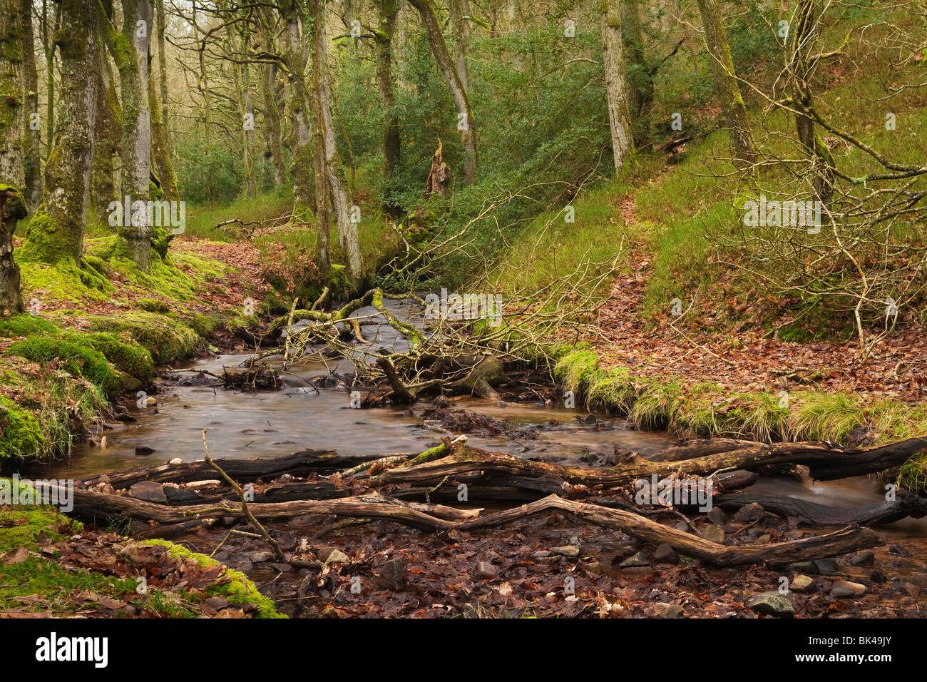 Holford hi-res stock photography and images - Alamy