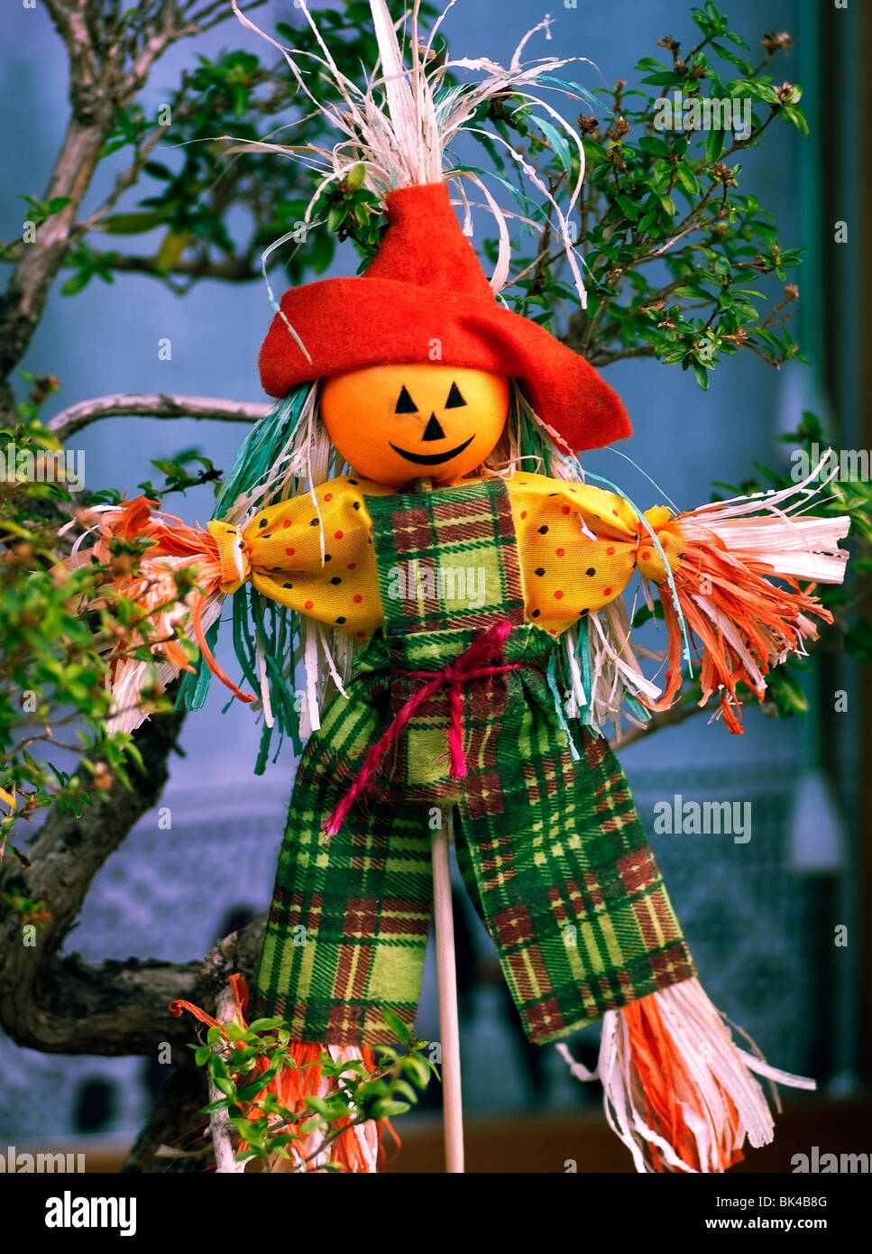 Hanging scarecrow hi-res stock photography and images - Alamy