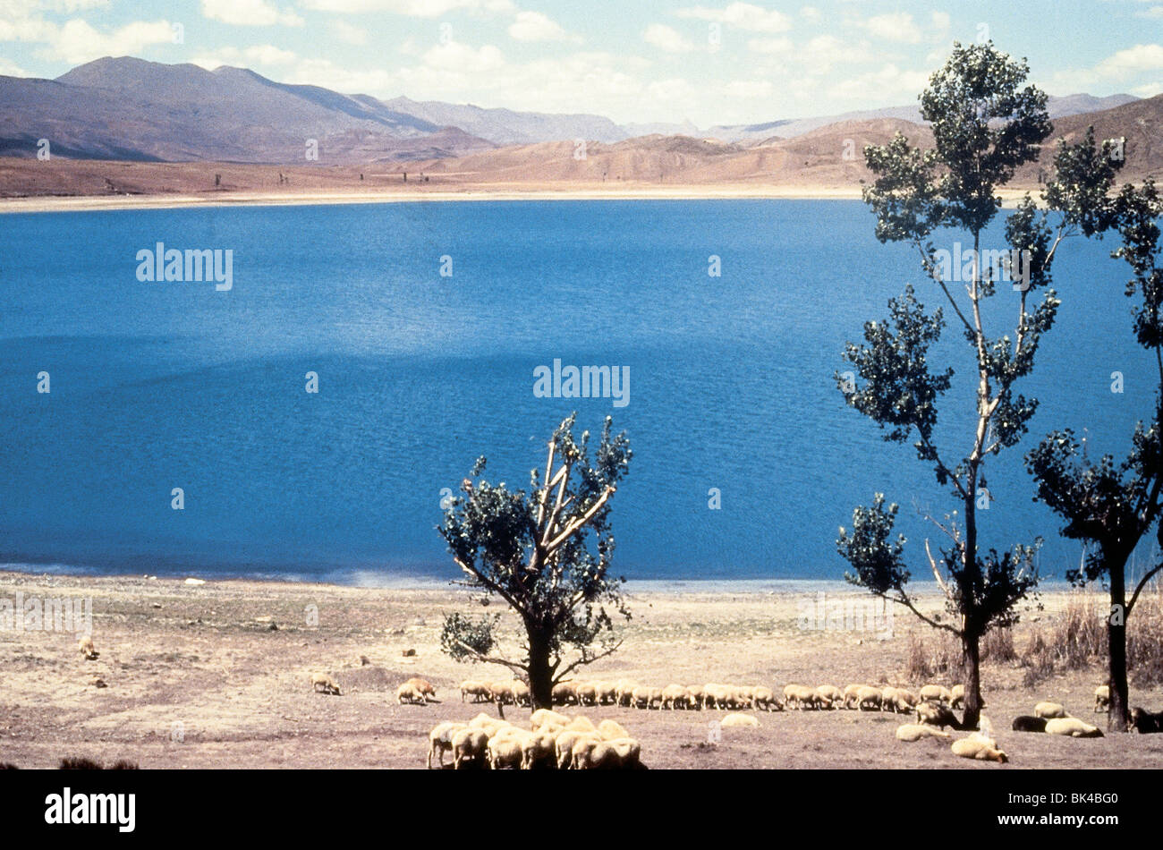 Imilchil hi-res stock photography and images - Alamy