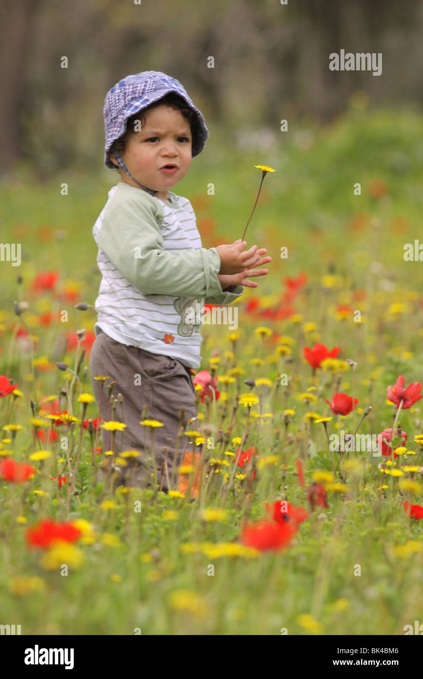 A two year old toddler in a field of spring flowers admires a flower ...