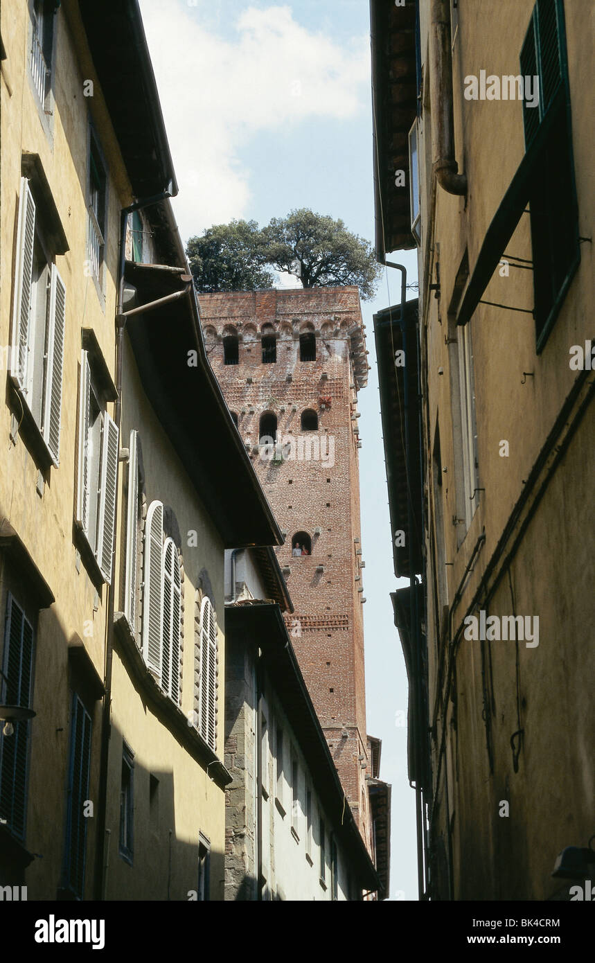 Trees Growing on Top of the Torre Guinigi, Lucca, Italy Stock Photo - Alamy