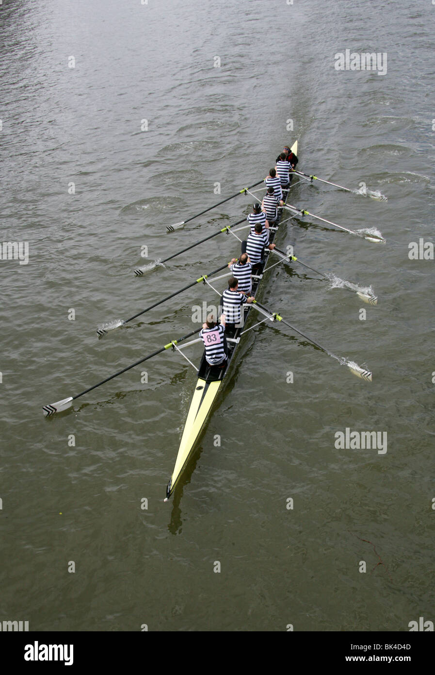 The Dublin University Rowing Team in the Head of River Race 2010. Their ...