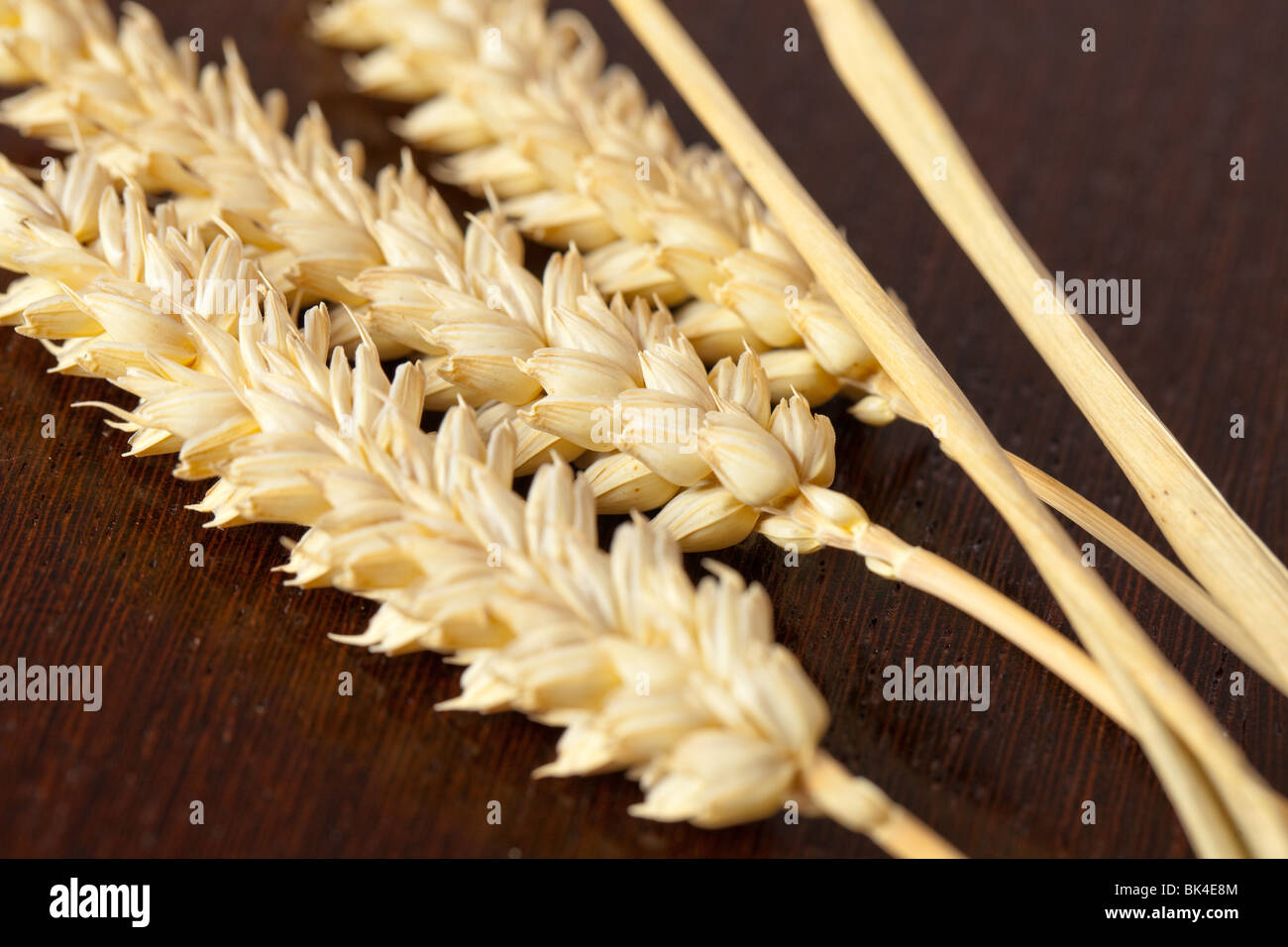 wheat on table Stock Photo - Alamy