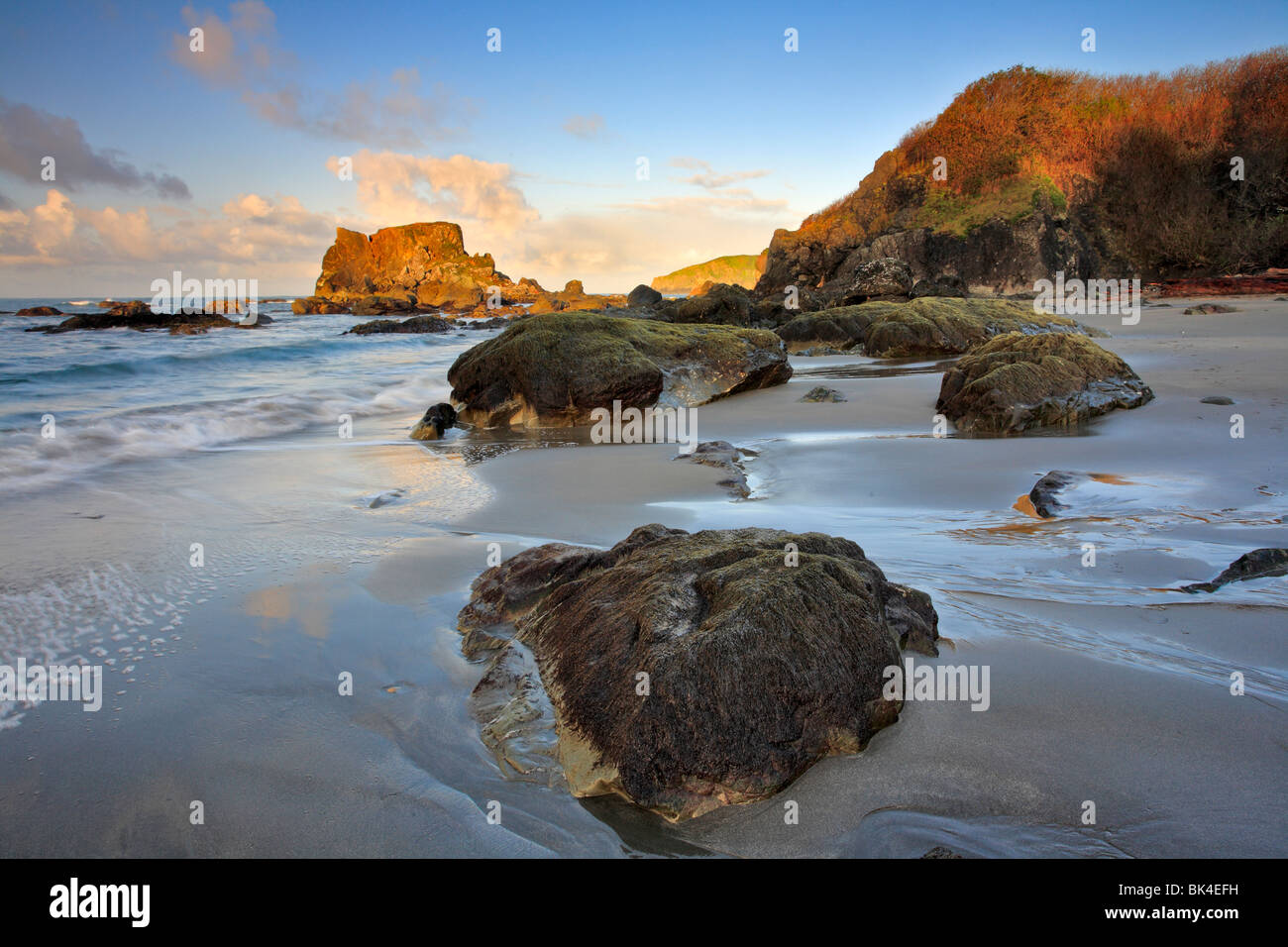 Rocky coastline at Harris State Park beach-Brookings, Oregon,USA Stock ...