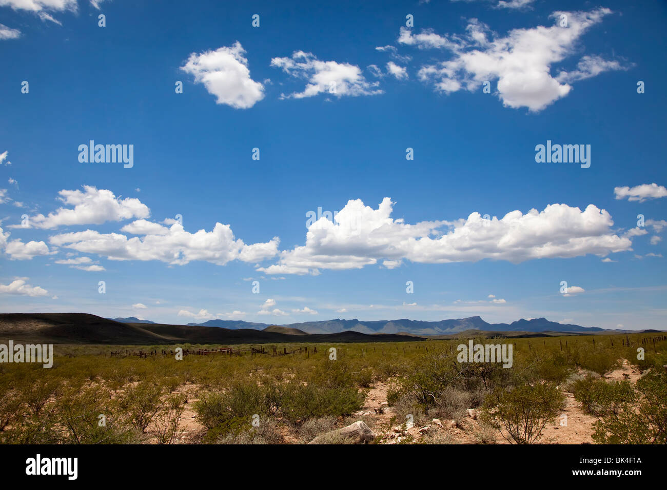 Davis Mountains Texas USA Stock Photo - Alamy