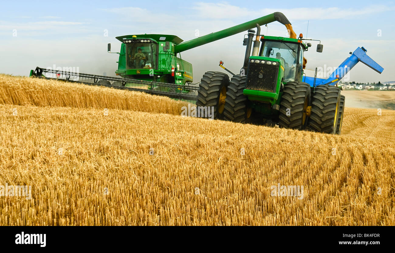 John Deere Combine Harvesting Wheat