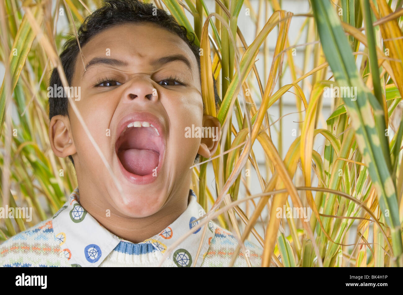 Boy in tall grass yelling Stock Photo - Alamy