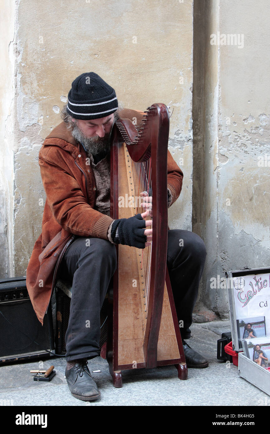 Irish harp player hi-res stock photography and images - Alamy