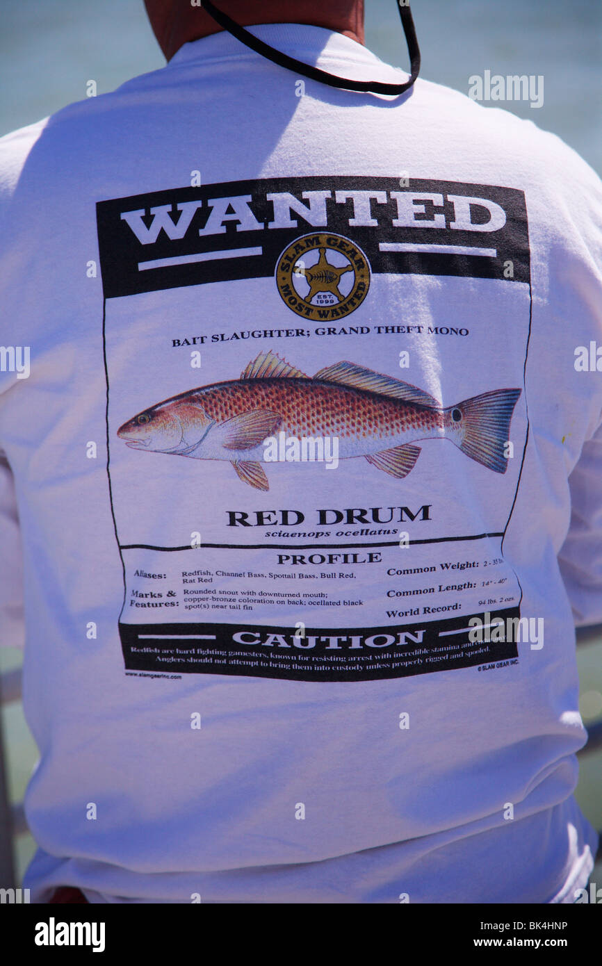 Red Drum Fish Wallpaper