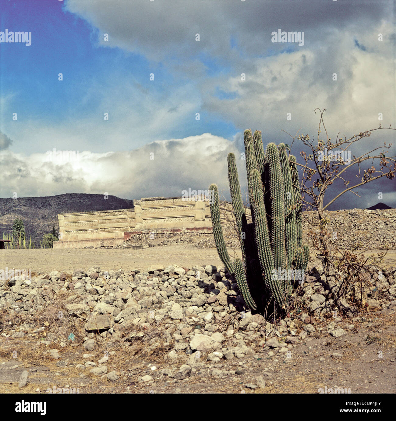 Zapotec mesoamerica hi-res stock photography and images - Alamy