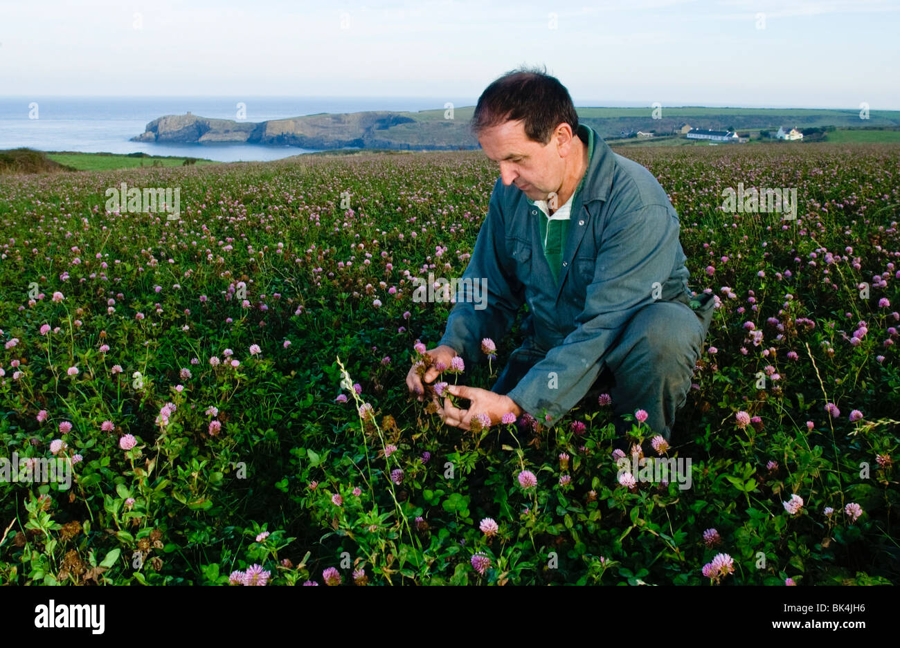 Farmer portrait uk hi-res stock photography and images - Alamy