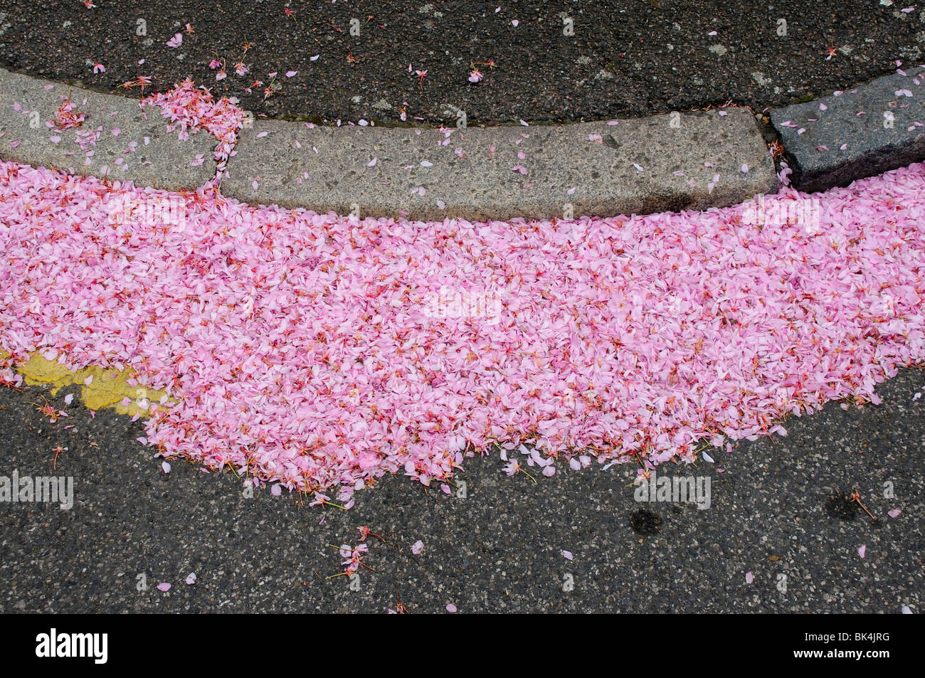 Curbside beauty hi-res stock photography and images - Alamy
