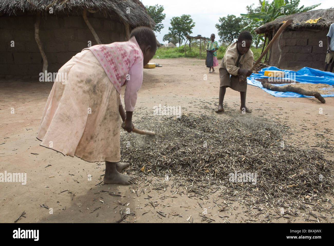 Amuria hi-res stock photography and images - Alamy
