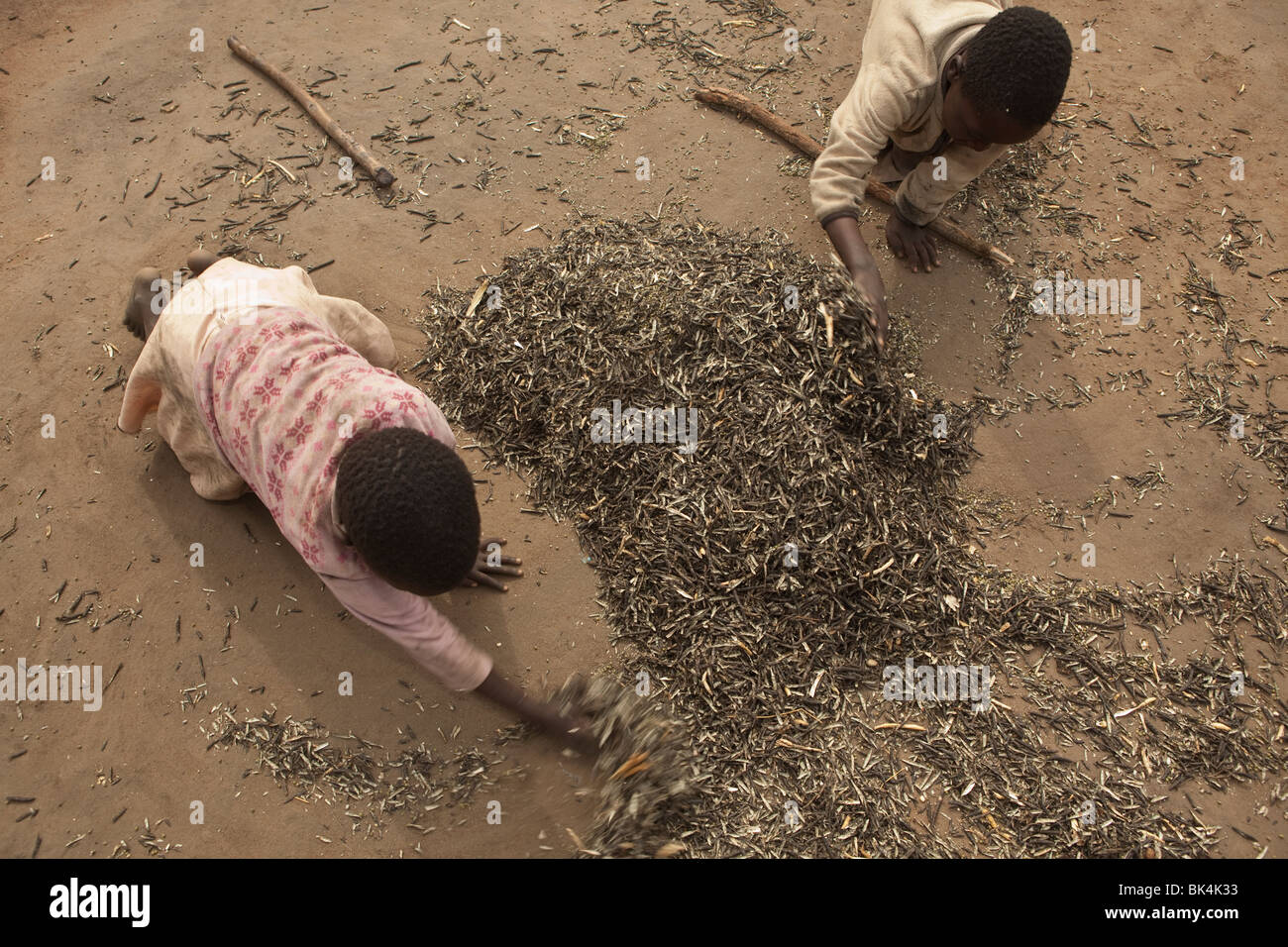 Amuria hi-res stock photography and images - Alamy