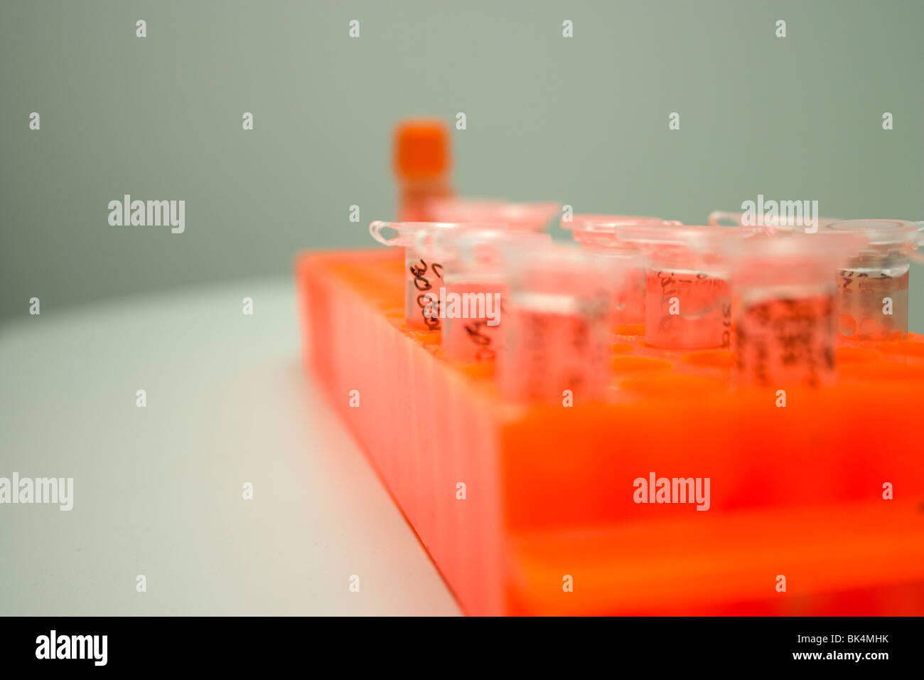 Laboratory test tubes Stock Photo - Alamy