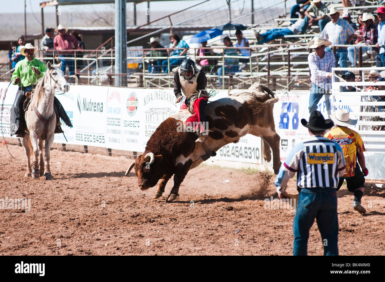 a cowboy competes in the bull riding event during the O'Odham Tash all ...