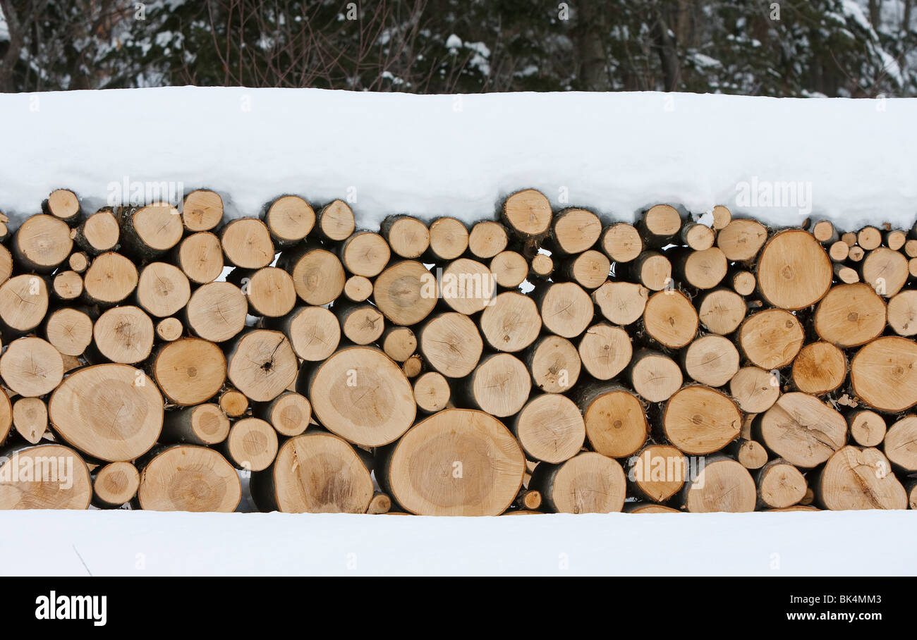 Stack of logs covered with snow Stock Photo - Alamy