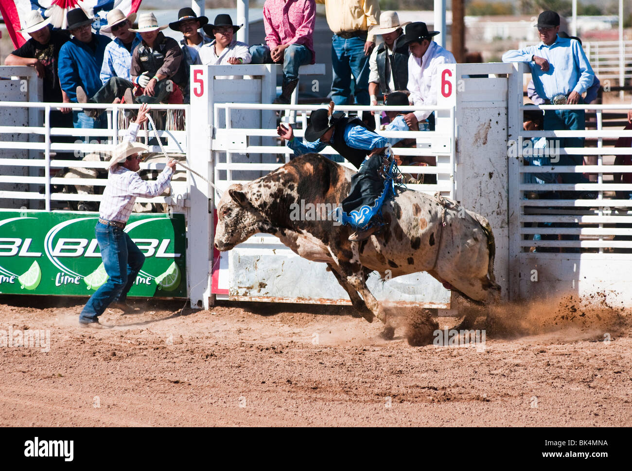 a cowboy competes in the bull riding event during the O'Odham Tash all ...