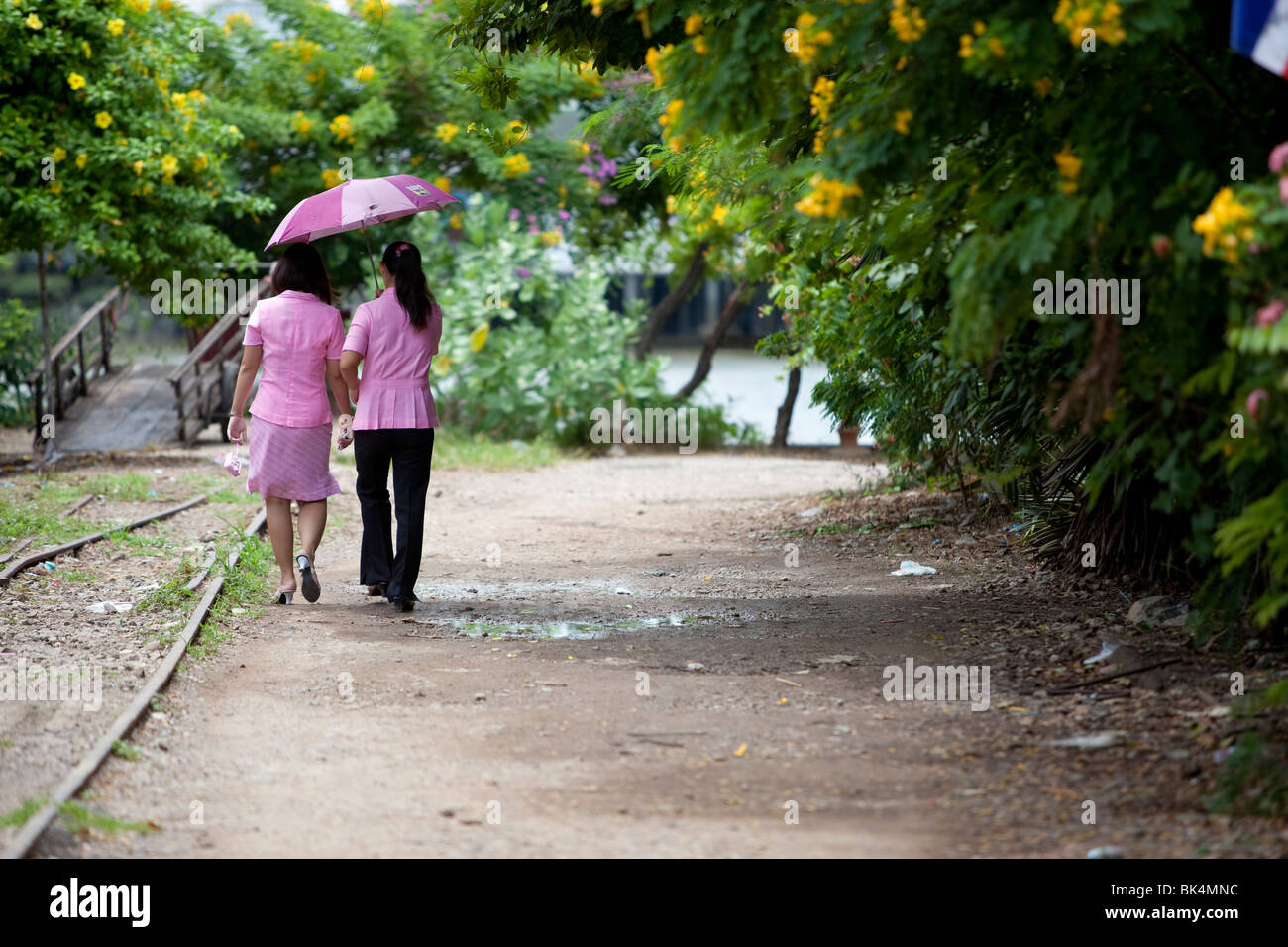 Two thai women walking under a pink umbrella along a pathway Stock ...