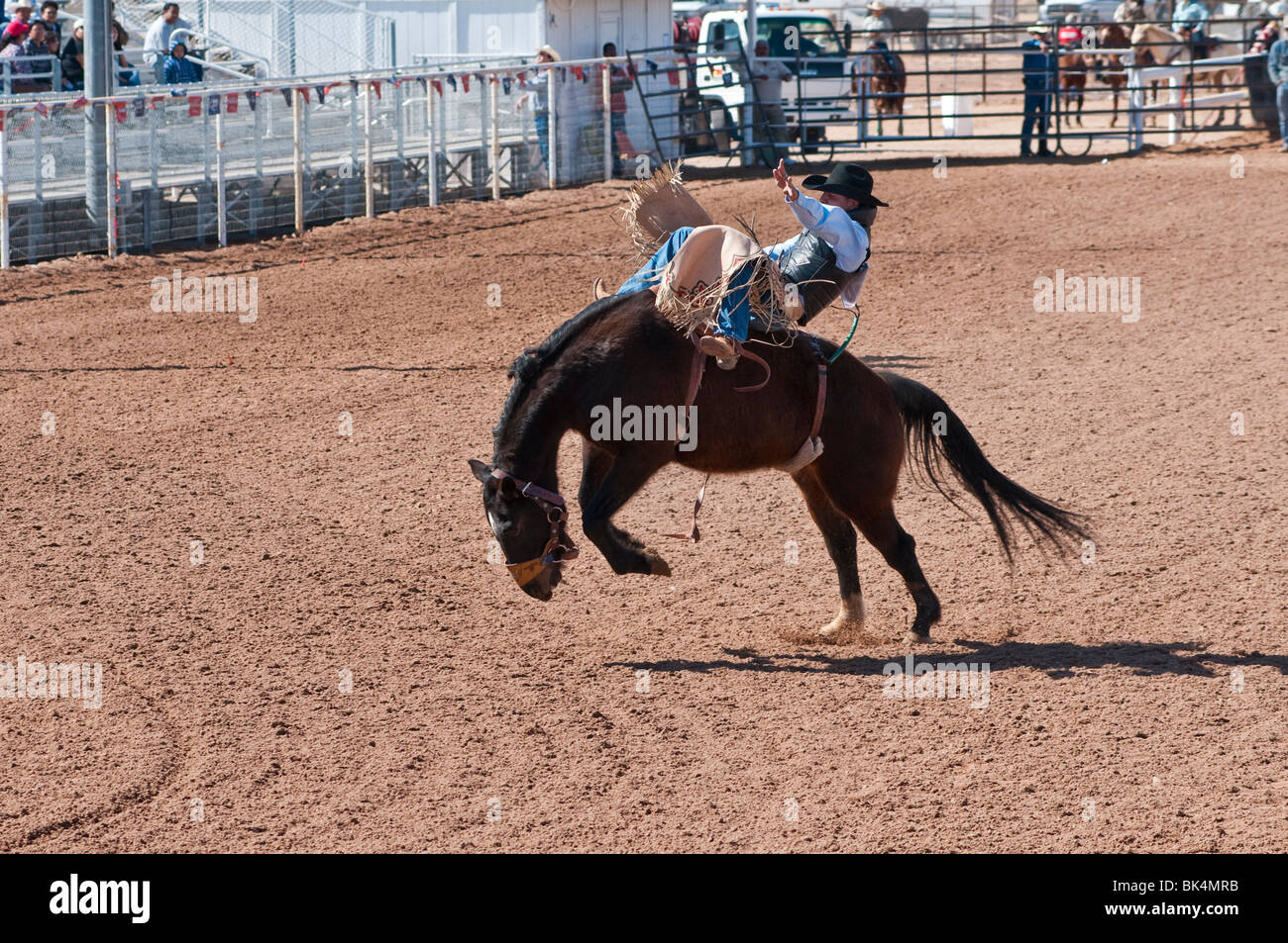 Bareback bronc riding hi-res stock photography and images - Alamy